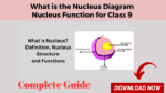 What is Nucleus Diagram- Nucleus Function for Class 9 - Smart Classes